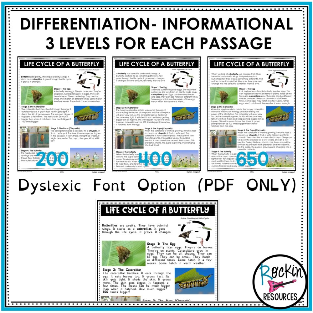 2nd Grade Reading Comprehension Passages Bundle - Rockin Resources