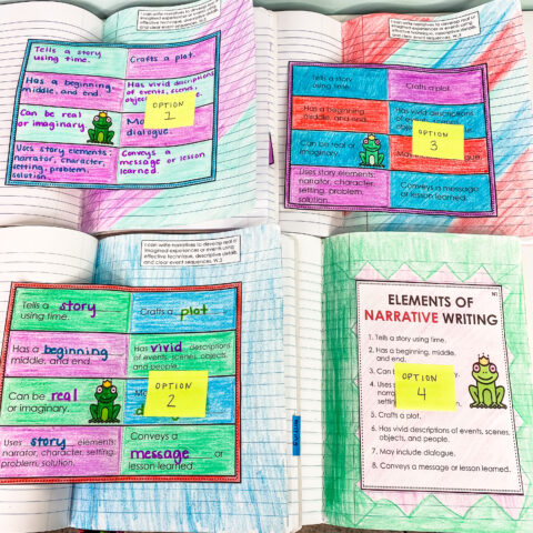 TOP TIPS TO DIFFERENTIATE YOUR WRITING INSTRUCTION - Rockin Resources