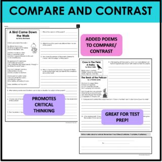 Poetry Analysis with Classic Poems | Google - Rockin Resources