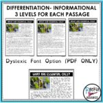 3rd Grade Reading Comprehension Passages Bundle - Rockin Resources