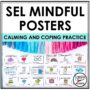 3RD GRADE SOCIAL EMOTIONAL LEARNING BUNDLE - JOURNAL AND POSTERS ...