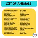 Endangered Animal Research Report | Engaging & Differentiated Writing ...