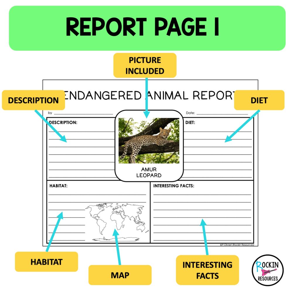 Endangered Animal Research Report | Engaging & Differentiated Writing ...