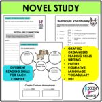 Mystery Unit Bundle - Rockin Resources