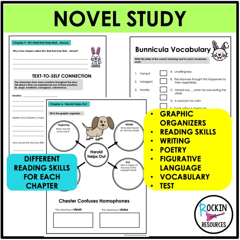 Mystery Unit Bundle - Rockin Resources